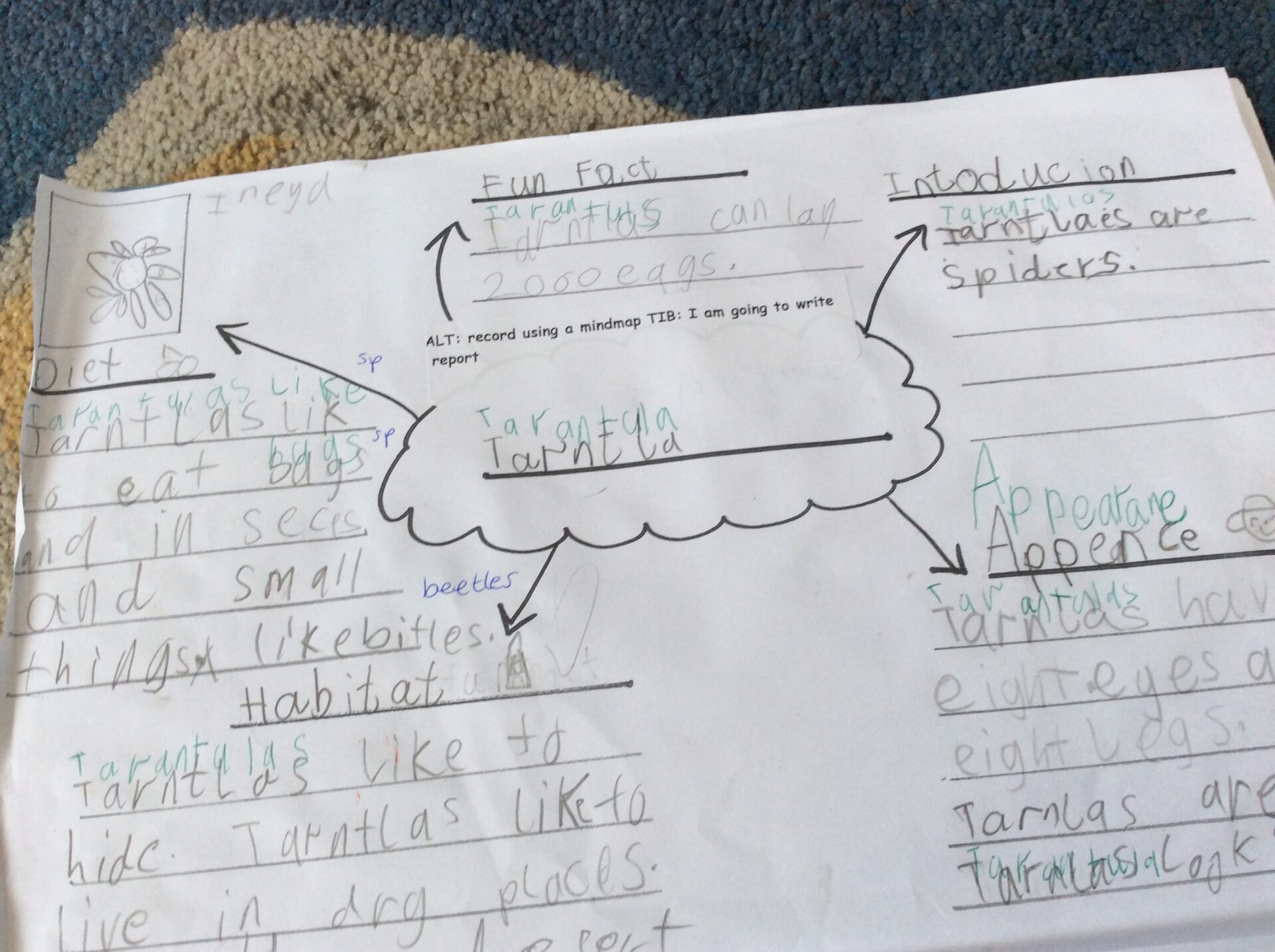 Report Writing in Year One! – Merry Hill