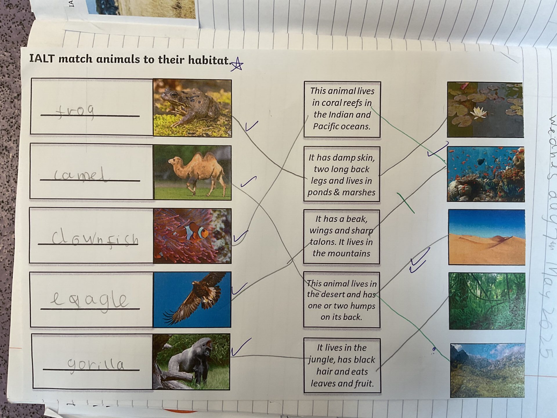 🌿 Year 2 Science Learning: Exploring Habitats and Food Chains 🐾 – Merry ...